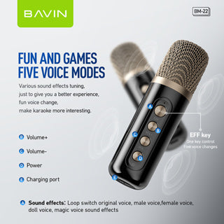 BAVIN BM22 Mini Amplifier Karaoke Bluetooth Wireless Speaker with Heav