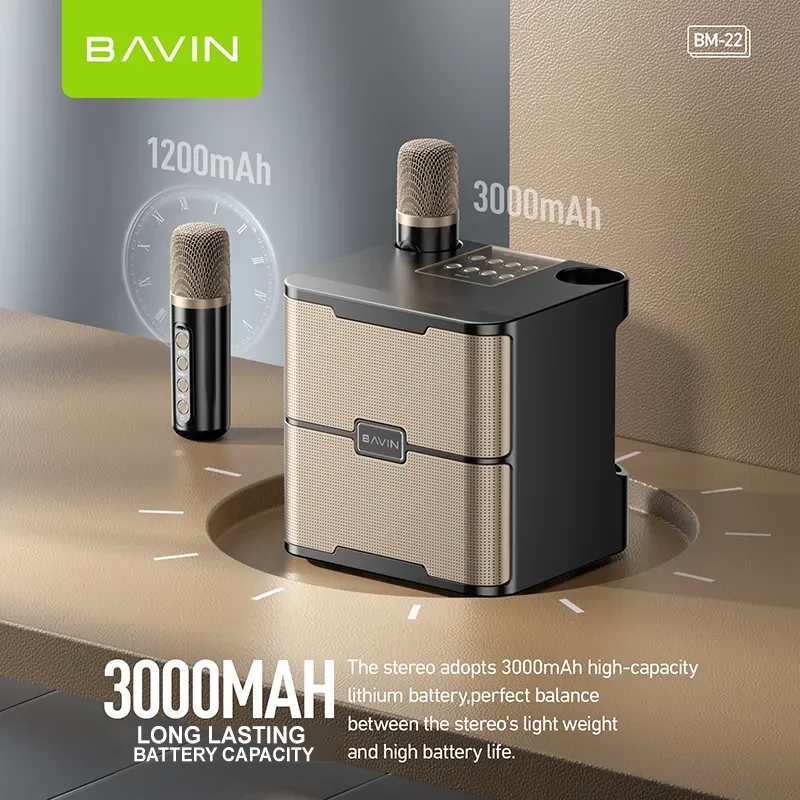 BAVIN BM22 Mini Amplifier Karaoke Bluetooth Wireless Speaker with Heav